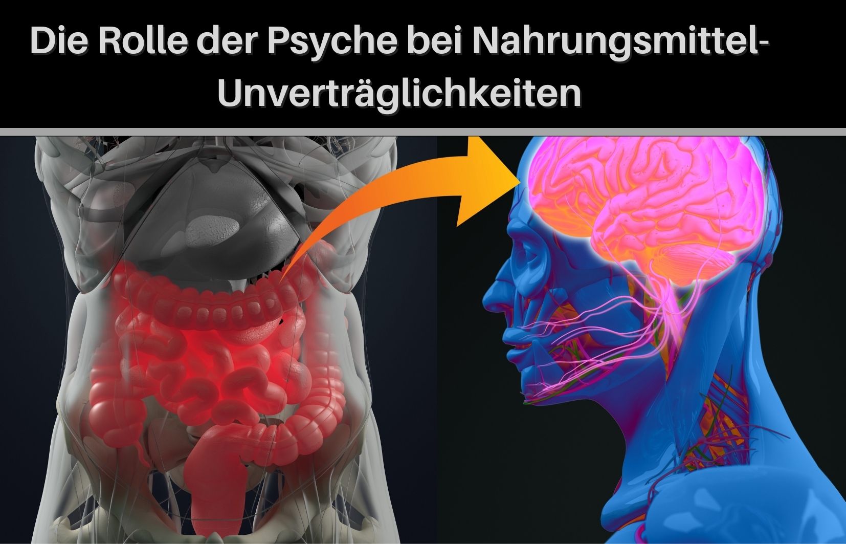 Die Rolle der Psyche bei Nahrungsmittel-Unverträglichkeiten - doris-breulmann.de
